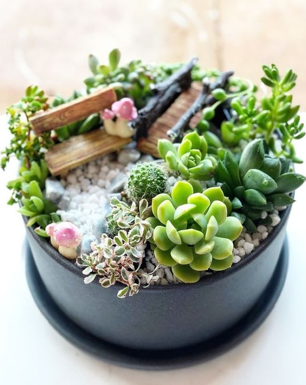 Mini Jardines: Naturaleza en Pequeña Escala - Floristería Bouquets ...